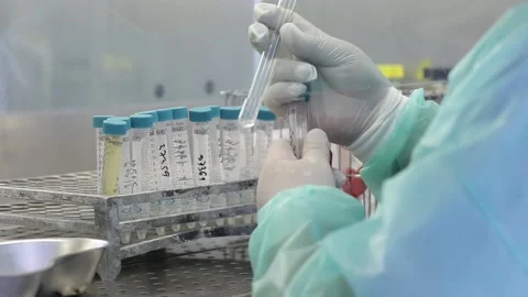 Checking test samples in microbiology la... | Stock Video | Pond5