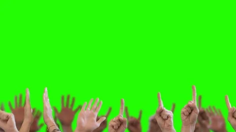 Green Screen Crowd Cheering Stock Video Footage | Royalty Free Green ...