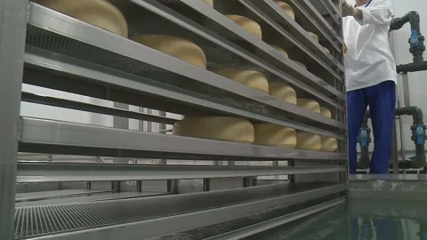 Cheese making process | Stock Video | Pond5
