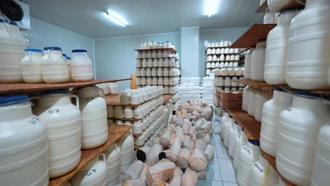 Cheese Maturation Process | Stock Video | Pond5