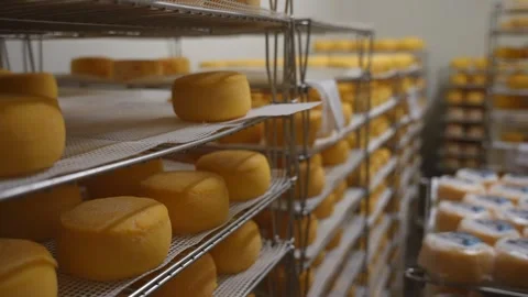 Cheeses maturing before labeling them in... | Stock Video | Pond5