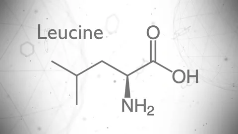 Structural Formula For Leucine