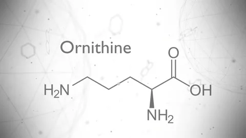 Chemical formula of Ornithine. Infograph... | Stock Video | Pond5