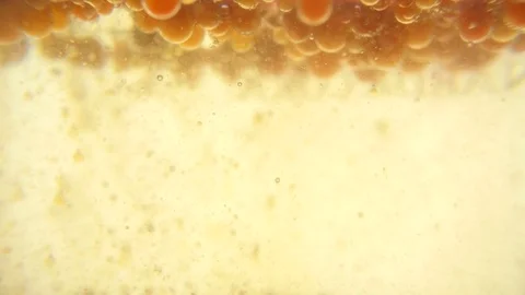 Chemical reaction [lab made lava lamp] c... | Stock Video | Pond5