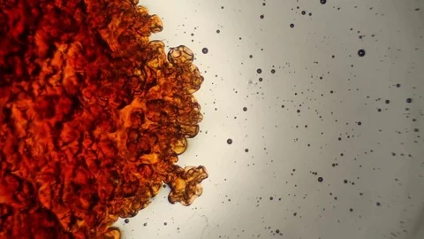 Chemical reaction under microscope | Stock Video | Pond5
