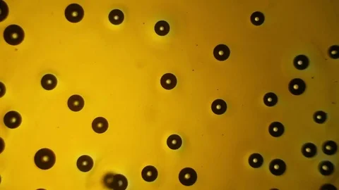 Chemical reaction under microscope | Stock Video | Pond5