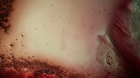 Chemical reaction under microscope | Stock Video | Pond5