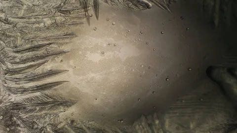 Chemical reaction under microscope | Stock Video | Pond5