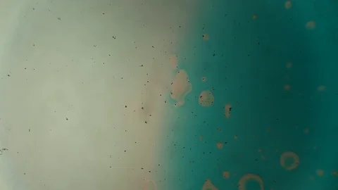 Chemical reaction under microscope | Stock Video | Pond5