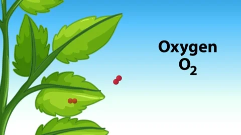 Chemistry Education: Oxygen Compound wit... | Stock Video | Pond5