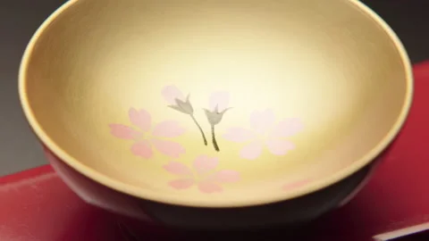Drawing Cherry Blossom Stock Videos – Royalty-Free HD & 4K Videos | Page 2