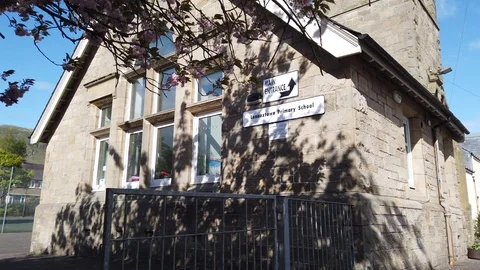 A cherry blossom tree at Lennoxtown Prim... | Stock Video | Pond5