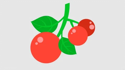 Cherry fruit cartoon animation in a tran... | Stock Video | Pond5
