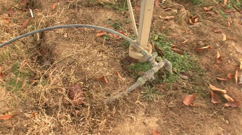 Cherry orchard in greenhouse, pipe syste... | Stock Video | Pond5