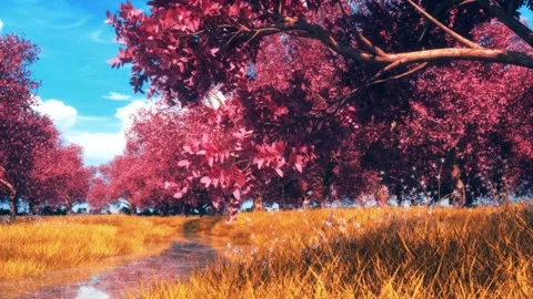 Cherry Trees moved by Wind Landscape - L... | Stock Video | Pond5