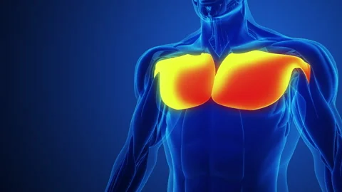 Muscle Pain Stock Video Footage | Royalty Free Muscle Pain Videos | Pond5