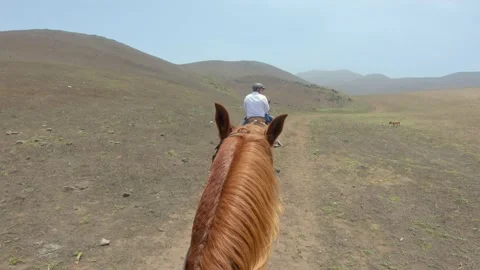 Chestnut Horse Riding POV on a deserted ... | Stock Video | Pond5