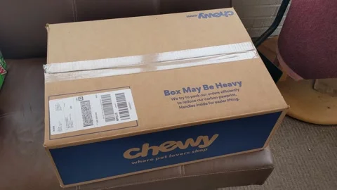 Dog Mail Stock Videos – Royalty-Free HD & 4K Videos