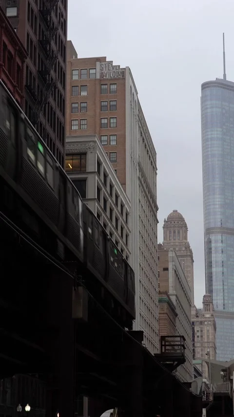 25!L0Ve Stock Videos – Royalty-Free HD & 4K Videos | Pond5