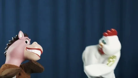 Chicken Dance Wedding Stock Video Footage | Royalty Free Chicken Dance ...