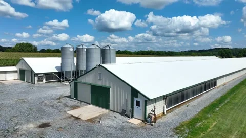Chicken barns on an American farm on bea... | Stock Video | Pond5