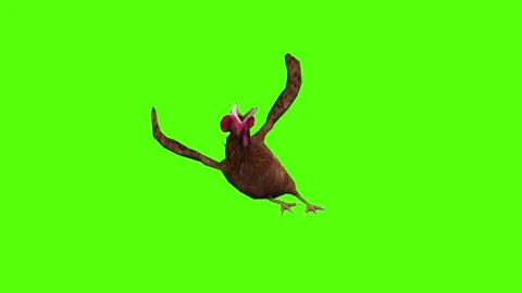 Chicken Death Green Screen Animation 4k ... | Stock Video | Pond5