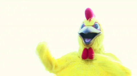 Chicken Flexing on White background | Stock Video | Pond5