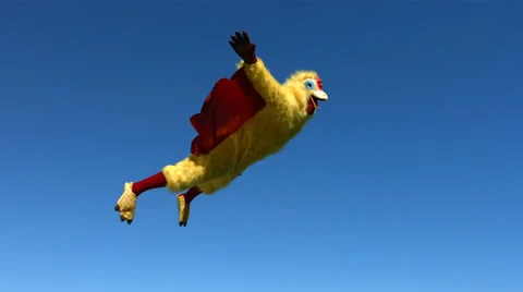 Chicken flies into sky, slow motion | Stock Video | Pond5
