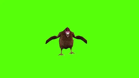 Chicken Getting Hit Green Screen Animati... | Stock Video | Pond5