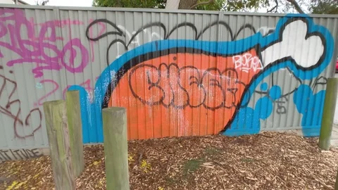 Chicken Graffiti | Stock Video | Pond5