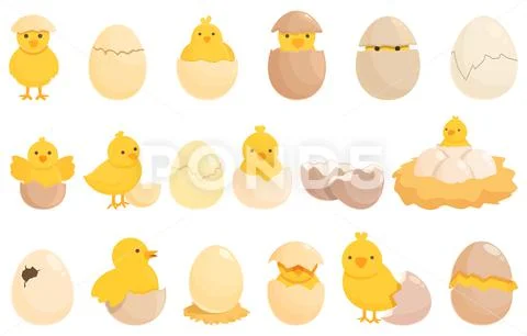 Chicken hatching icons set cartoon vector. Egg nest: Royalty Free ...