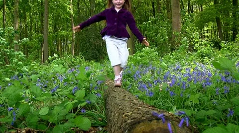 Child balancing on log | Stock Video | Pond5