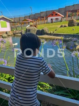 Child boy with his back turned looking at the lake Stock Photo #300784415