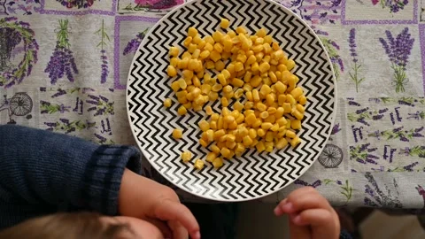 Child Corn Videos Stock Videos – Royalty-Free HD & 4K Videos