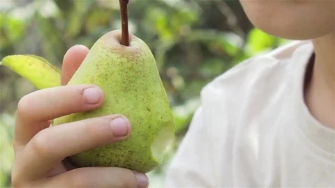 Child eating a pear from a tree | Stock Video | Pond5