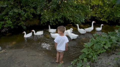 River Near Farmer Stock Videos – Royalty-Free HD & 4K Videos