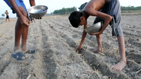 Child Labour Stock Video Footage | Royalty Free Child Labour Videos | Pond5