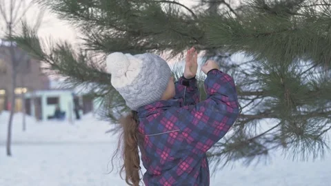 Little Bird Watxh Stock Videos – Royalty-Free HD & 4K Videos | Pond5