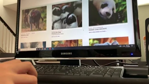 Child using a mouse to scroll through ph... | Stock Video | Pond5