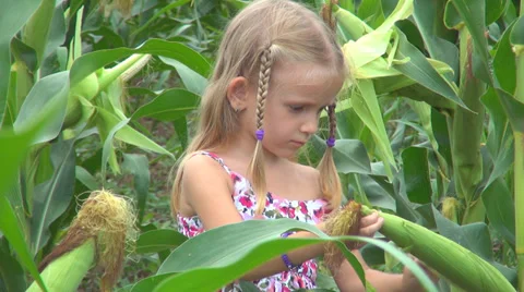 Child Corn Girl Stock Videos – Royalty-Free HD & 4K Videos | Page 3