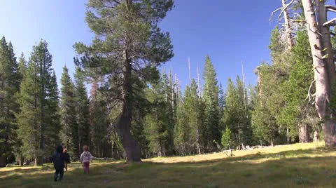 Kids Childern Stock Videos – Royalty-Free HD & 4K Videos