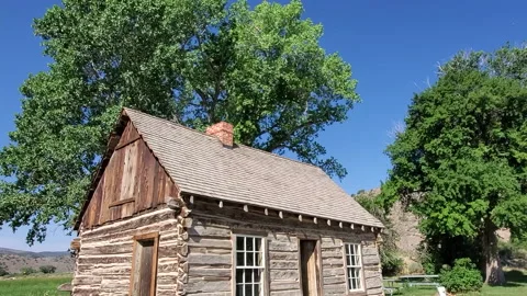 Cassidy Banks Stock Footage ~ Royalty Free Stock Videos | Pond5