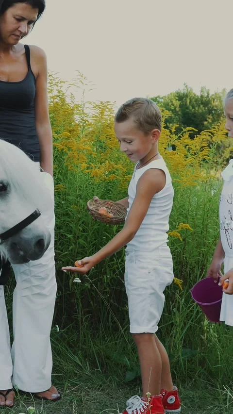 Girl Fed Stock Videos – Royalty-Free HD & 4K Videos