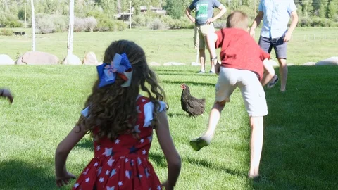 Chasing Chicken Stock Video Footage | Royalty Free Chasing Chicken ...