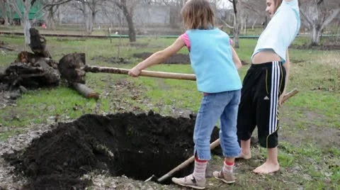 children digging a hole in the ground fo... | Stock Video | Pond5