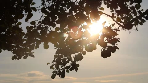 Children examine body cells through a mi... | Stock Video | Pond5