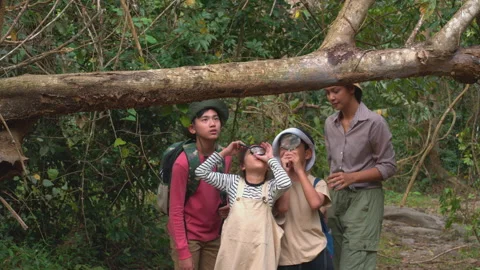 Children exploring the forest with a mag... | Stock Video | Pond5