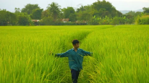 Children farmer running and walking in r... | Stock Video | Pond5