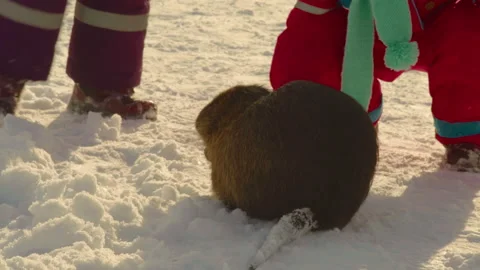 Feed Children Stock Videos – Royalty-Free HD & 4K Videos