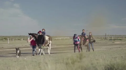 Horse Riding Experience Stock Videos – Royalty-Free HD & 4K Videos | Pond5